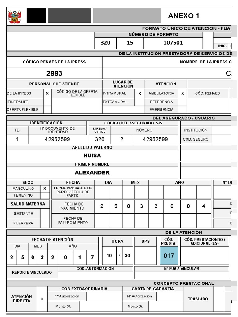 Modelo FUA Adolescente | Medicina | Cuidado de la salud