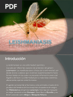 Prueba de Montenegro en Leishmaniasis | PDF | Sistema inmune ...