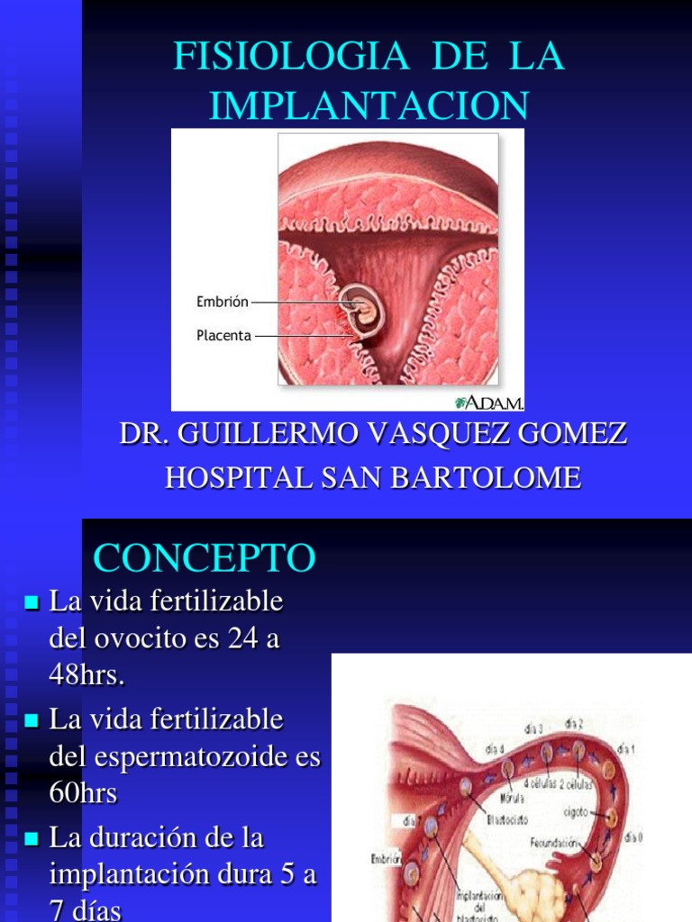 2. Fisiologia de Implantacion | Implantación (embrión humano ...
