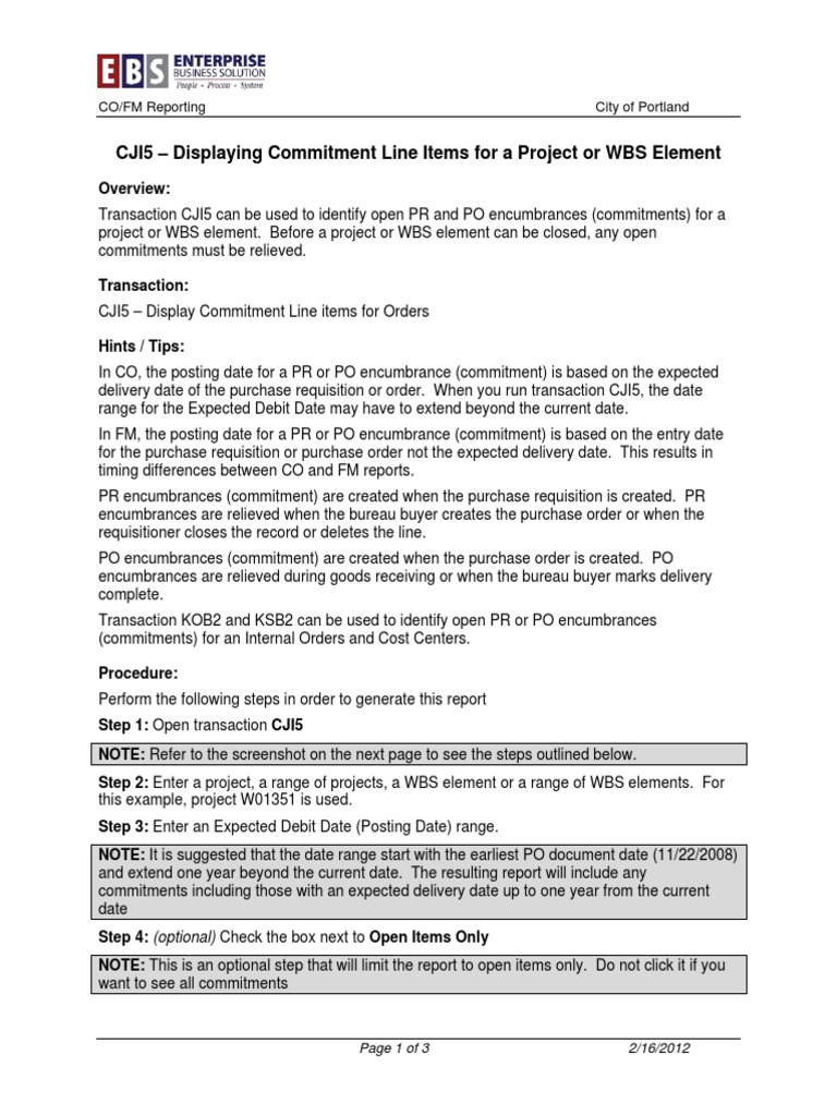 CJI5 User Manual PDF | PDF | Financial Transaction | Service Industries