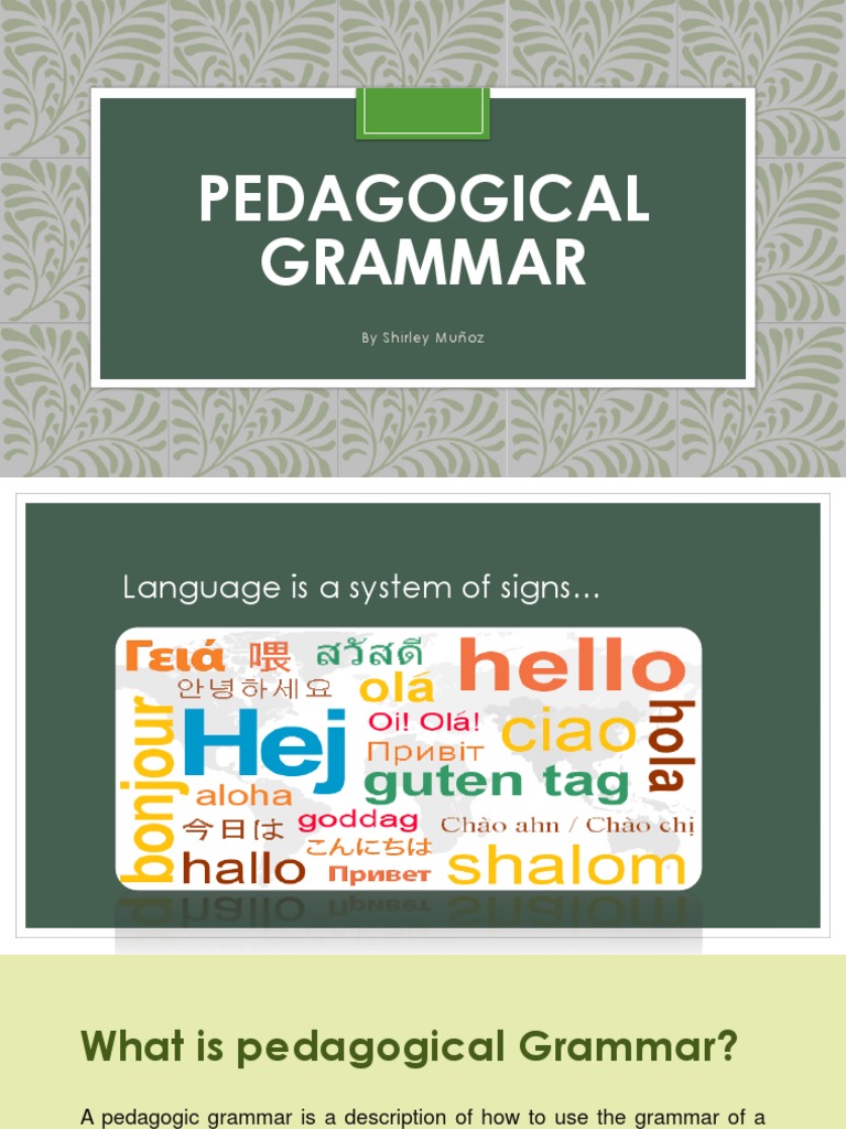 Pedagogical Grammar: by Shirley Muñoz | PDF
