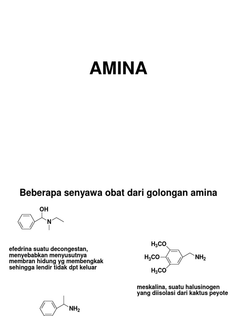 Amina PDF | PDF