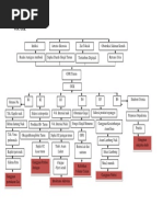 Pathway of Anemia Mechanisms | PDF