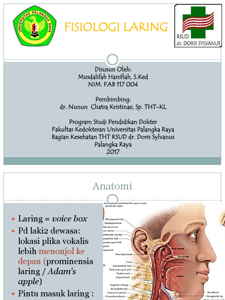 Anatomi & Fisiologi Laring | PDF
