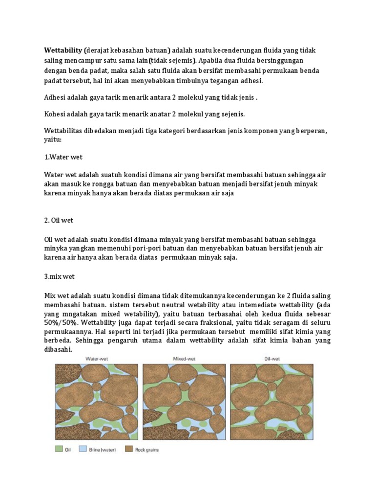 Wet T Ability Fix | PDF