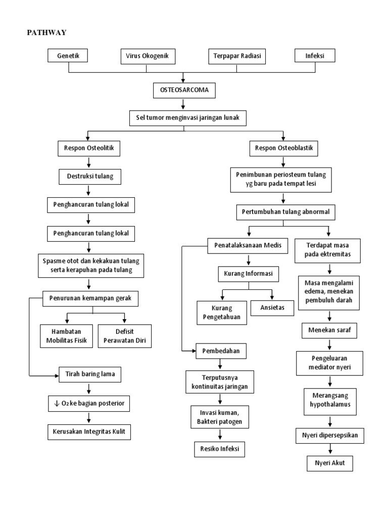Pathway Osteosarcoma