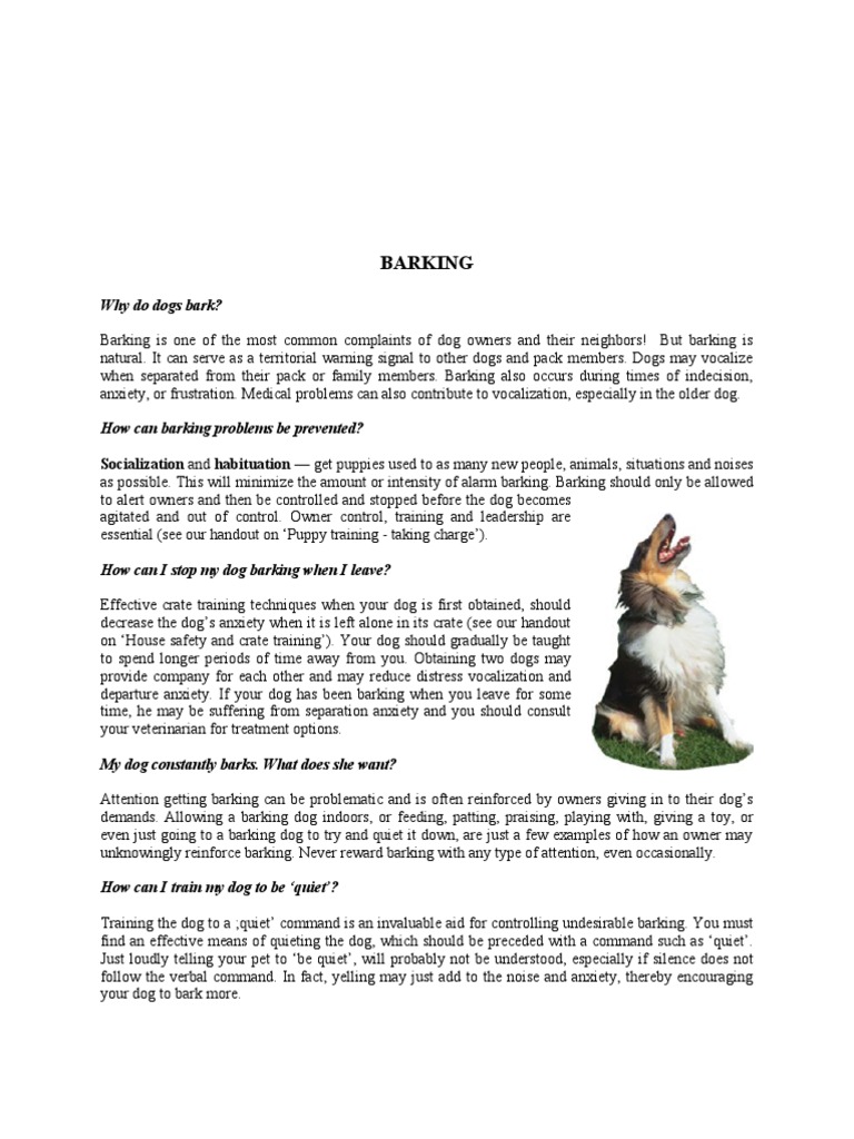 Barking: Why Do Dogs Bark? | PDF | Obedience Training | Reinforcement