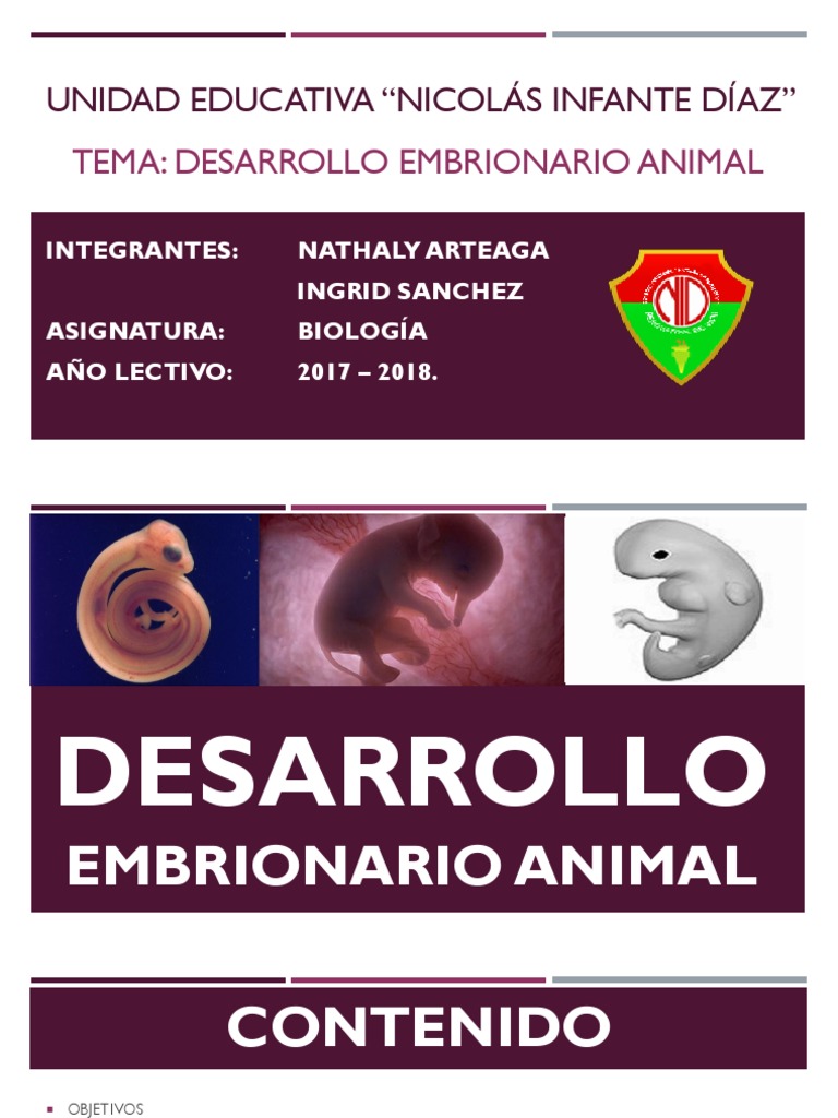 Desarrollo Embrionario en Animales | PDF | Reproducción | Organismos