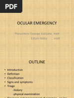Grade 12 Life Science The Eye | PDF | Eye | Myopia