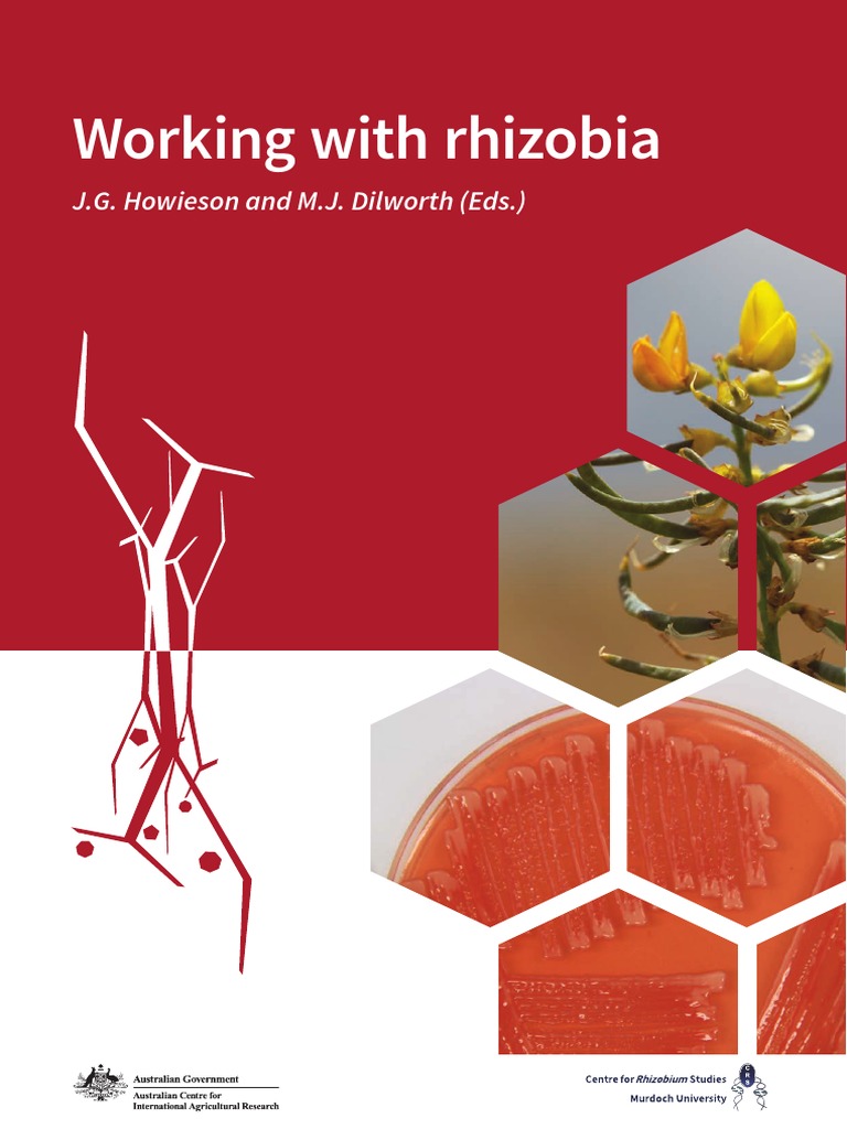 Working With Rhizobia | Legume | Horticulture And Gardening