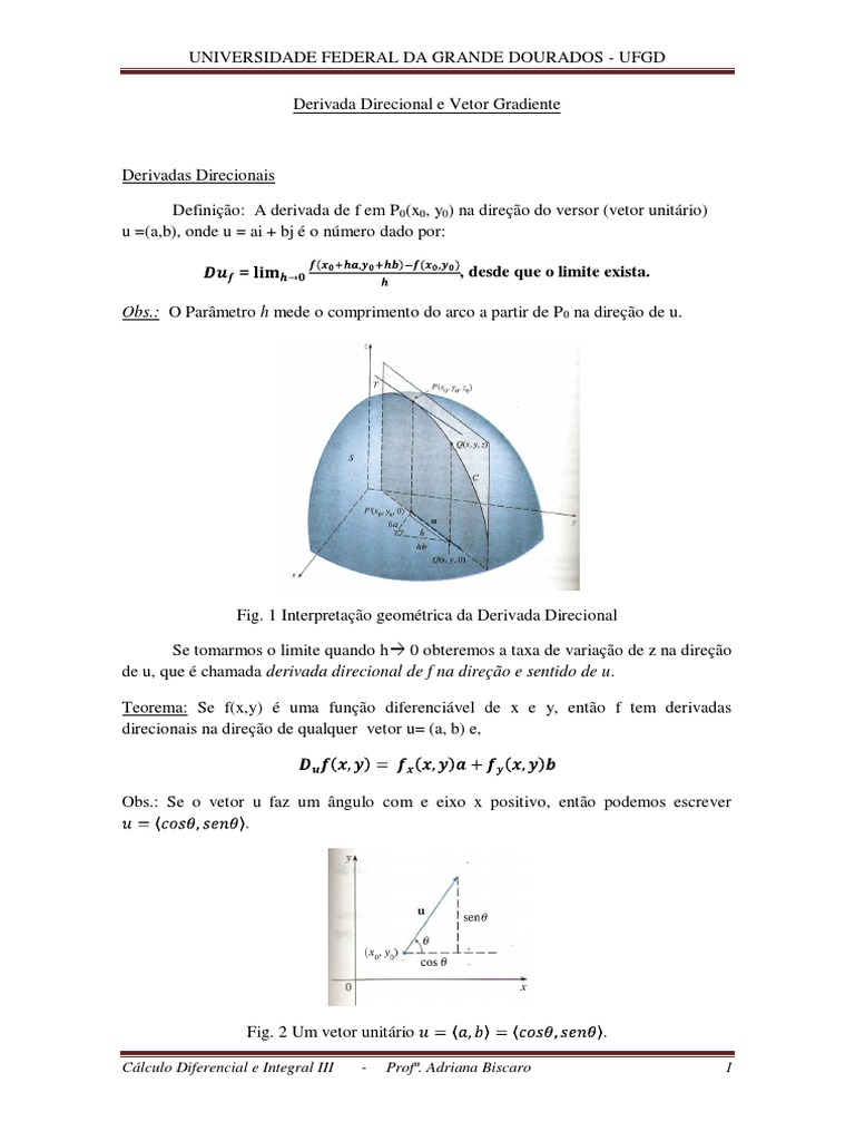 Derivada Direcional E Vetor Gradiente Atualizada Pdf Gradiente