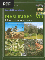 Bergerove Tablice | PDF | Microsoft Software | Microsoft