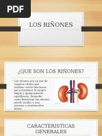 Estadios de Pubertad según Tanner | PDF | Pubertad | Estradiol