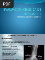 PALESTESIA Definicion y Exploración | PDF | Mano | Sistema ...
