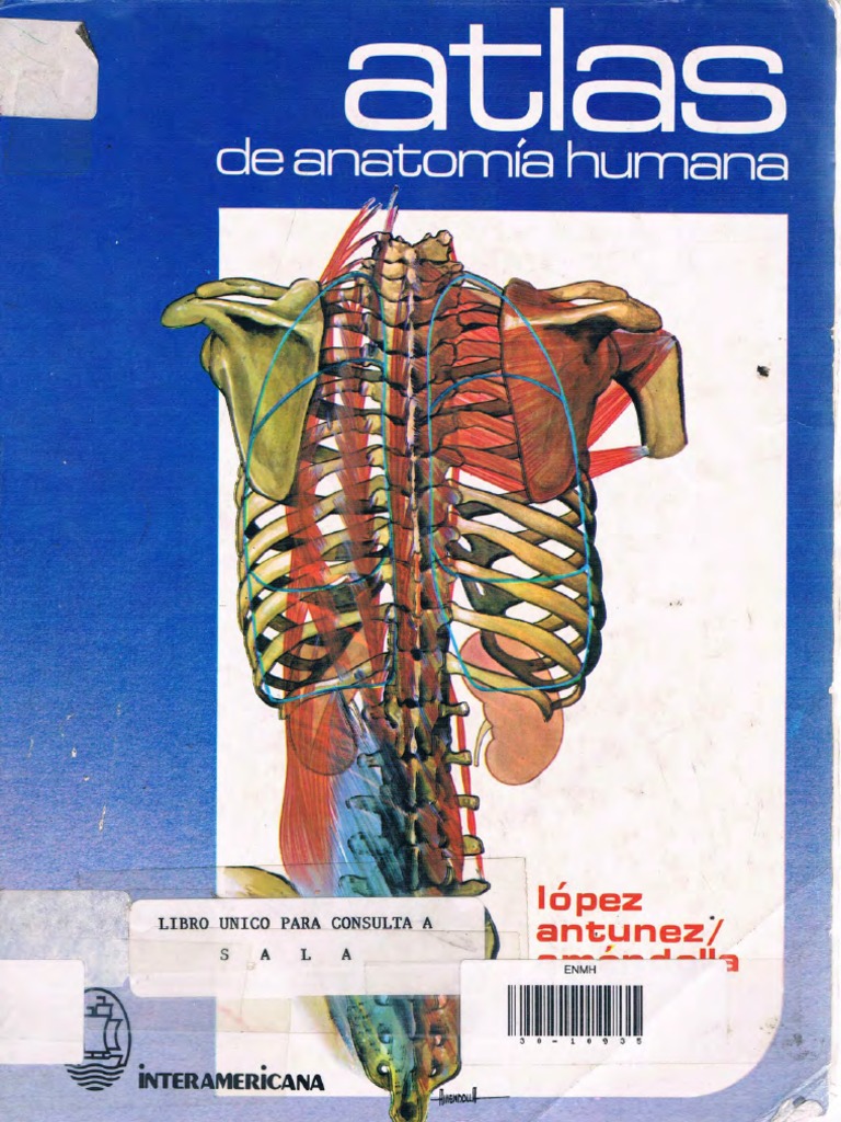 Atlas.de.Anatomia.humana