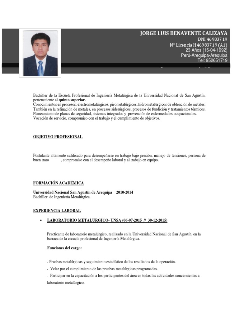 CV Jorge Benavente ND | PDF | Metalurgia | Science