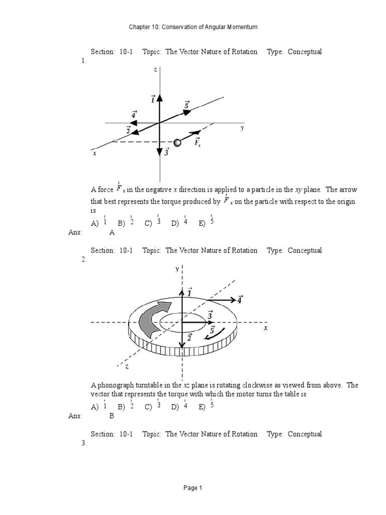 Chapter 10 | PDF | Rotation Around A Fixed Axis | Angular Momentum