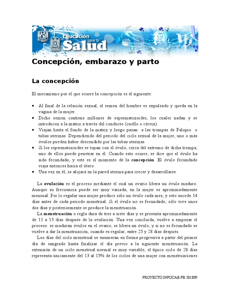 Concepcion Embarazo y Parto PDF | Descargar gratis PDF | El embarazo | Parto