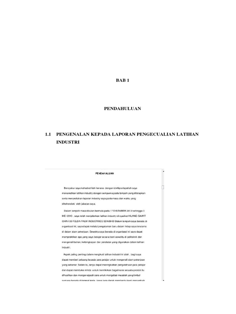 Report Li (Blank) | PDF