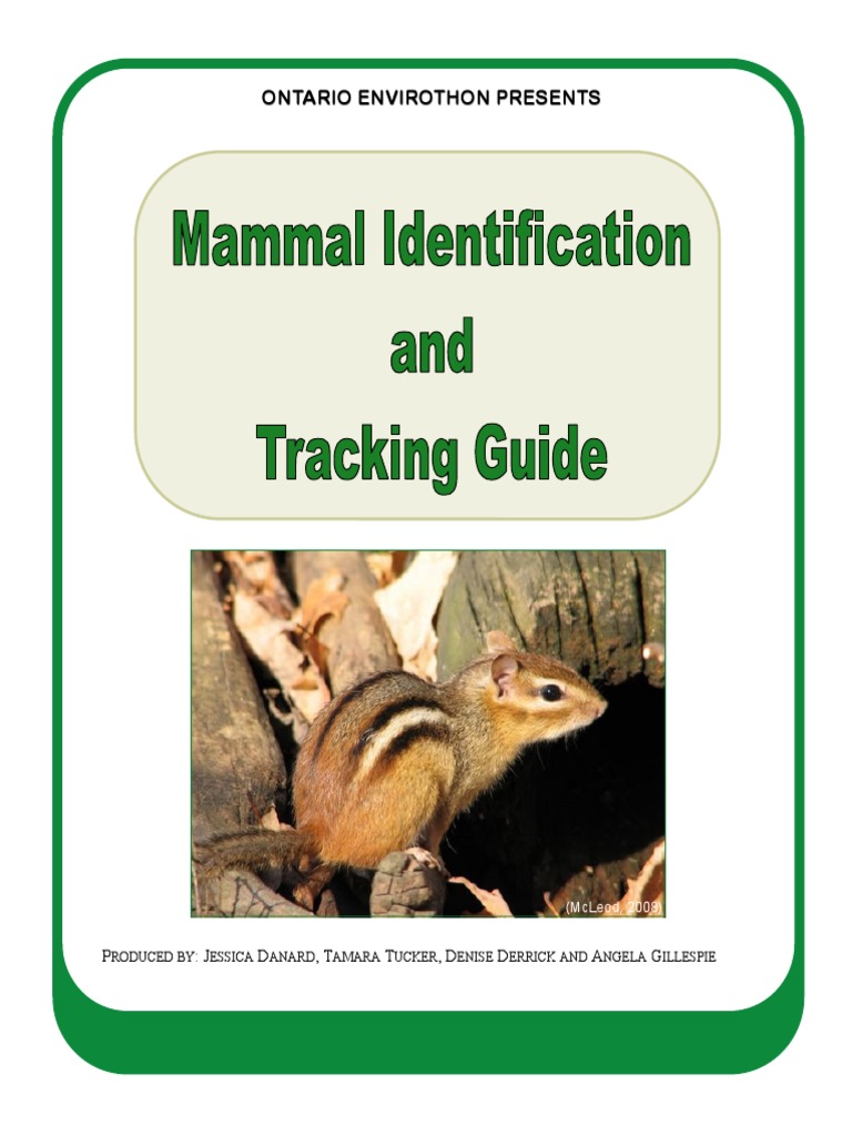 Mammal Identification and Tracking Guide PDF | PDF | Mammals | Beaver