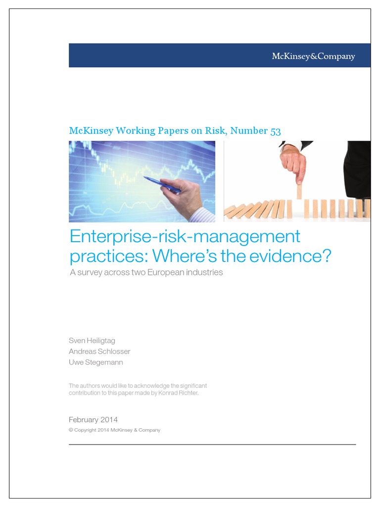 Mckinsey Guide | PDF | Enterprise Risk Management | Risk Management