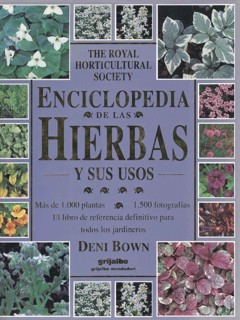 Enciclopedia de Las Hierbas y Sus Usos | PDF