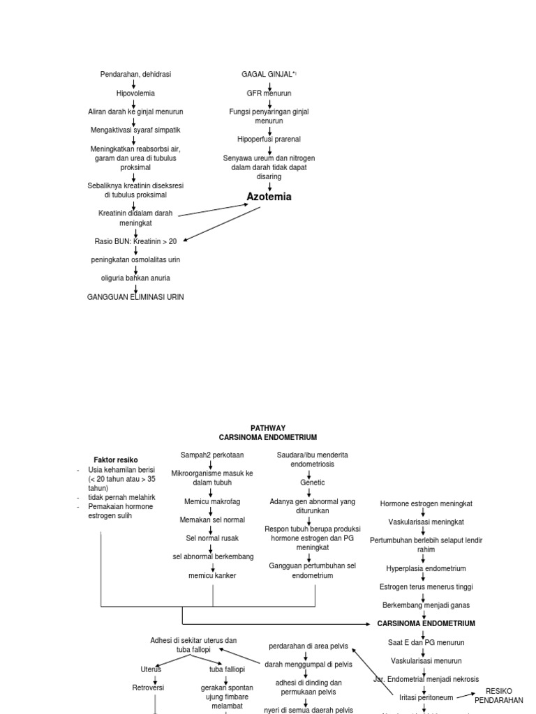 Pathway Ca Endometrium | PDF