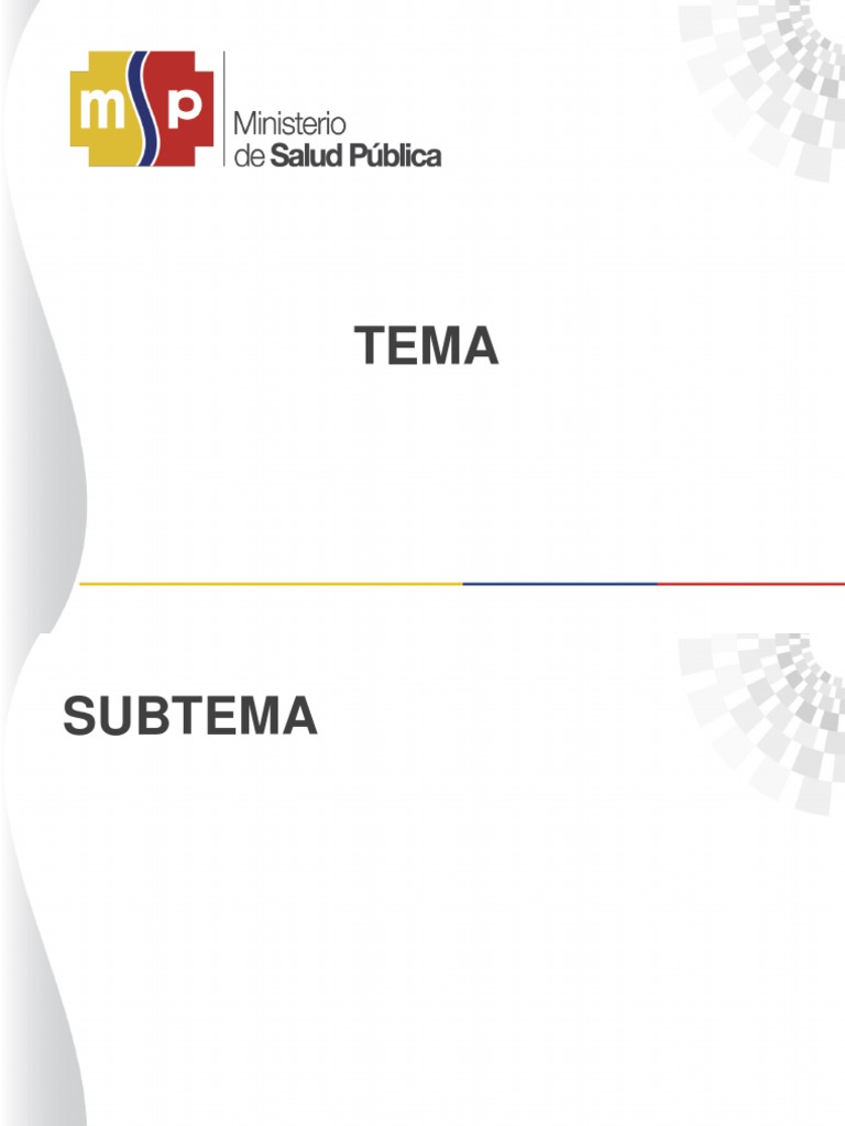 Formato Diapositivas MSP | PDF