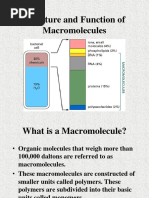 Macromolecule Summary Chart - Completed | PDF | Macromolecules | Cell ...