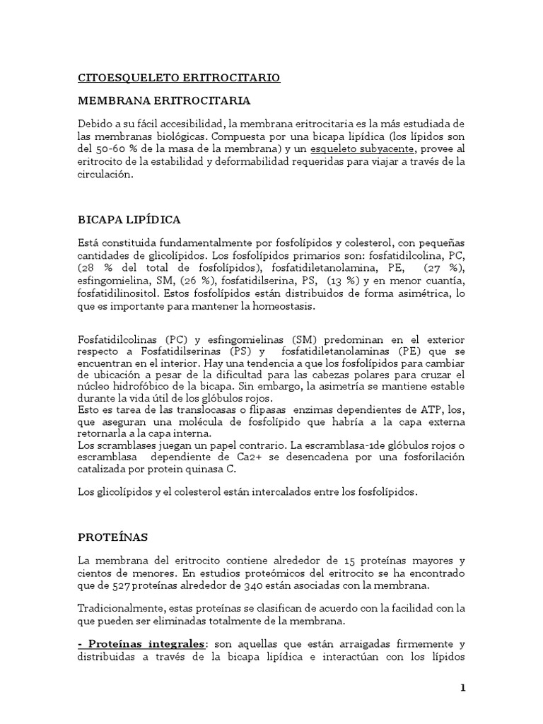 Estructura y Función de la Membrana Eritrocitaria | PDF | Glóbulo rojo ...