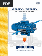 PDF Robuschi Rbs Operating and Maintenance Manual | PDF | Motor Oil | Valve