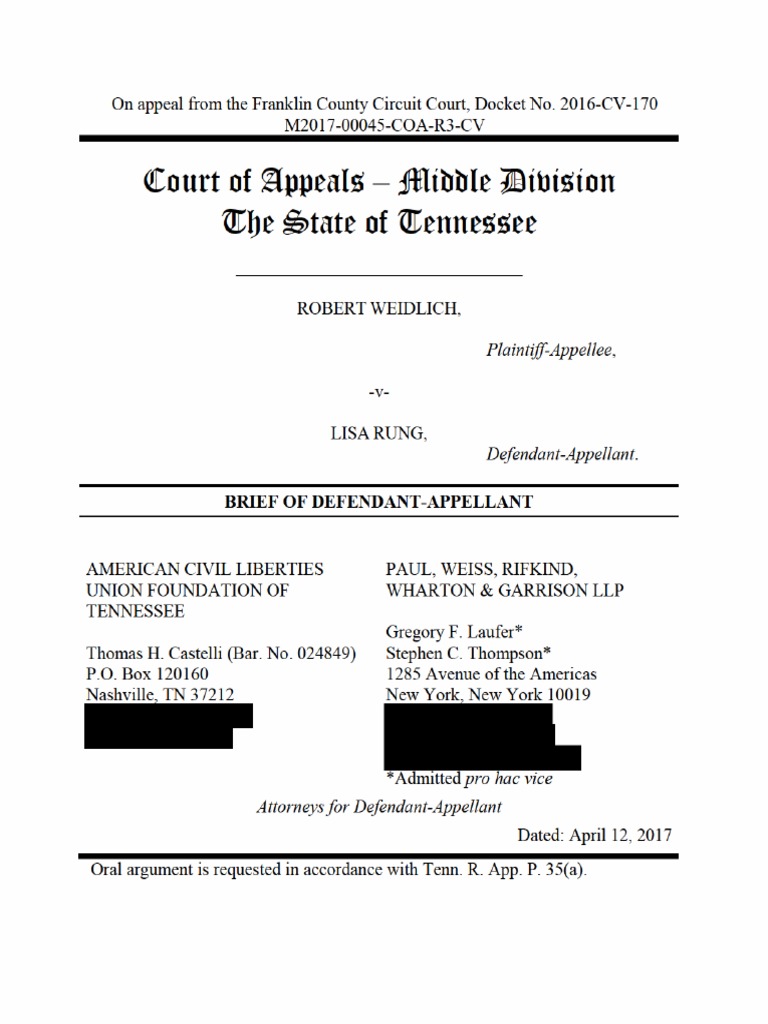 ACLU-TN Brief | PDF | Defamation | Evidence