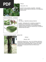 Assentamentos de Ogun | PDF | Gastronomia, comida e vinho