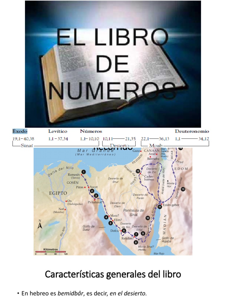 Libro de Números | PDF | Libro del éxodo | Libros de la Biblia hebrea
