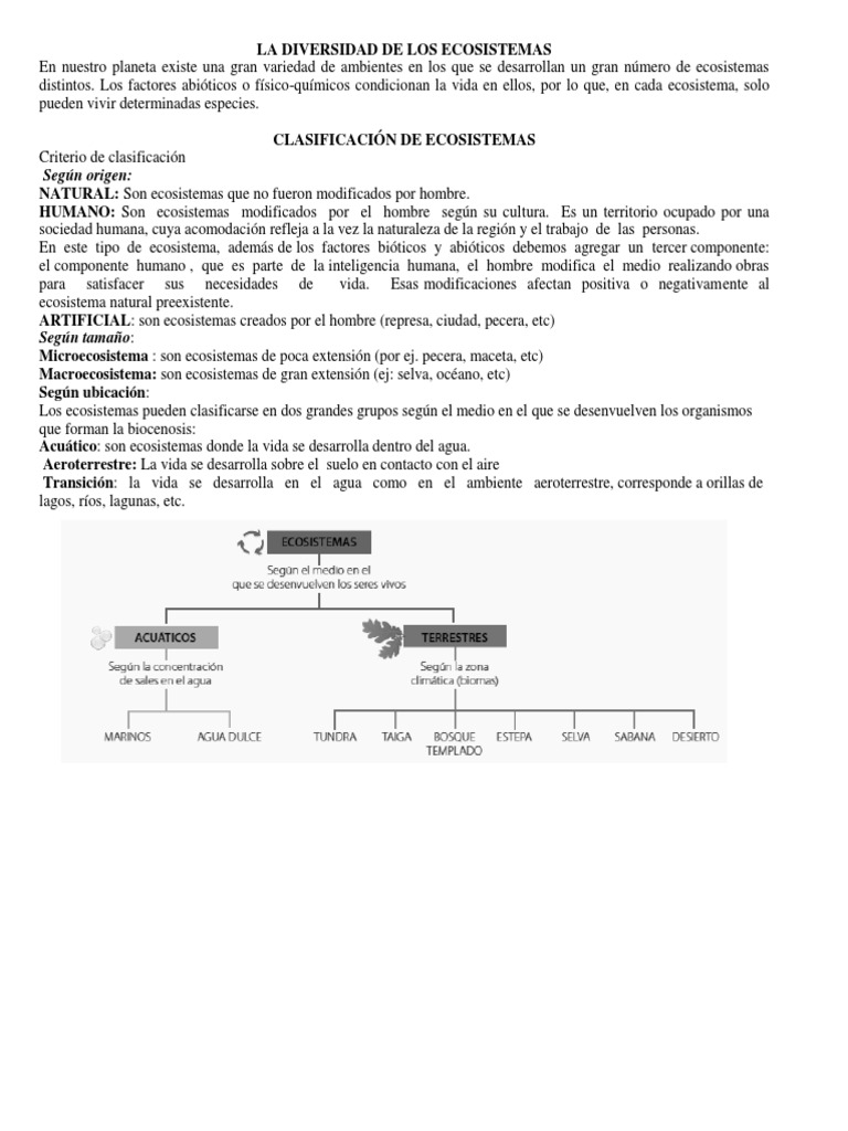 Clasificación y Diversidad de Ecosistemas | PDF | Ecosistema | Organismos
