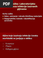 FIA-Uputstvo Za Popunjavanje Uplatnice PDF | PDF