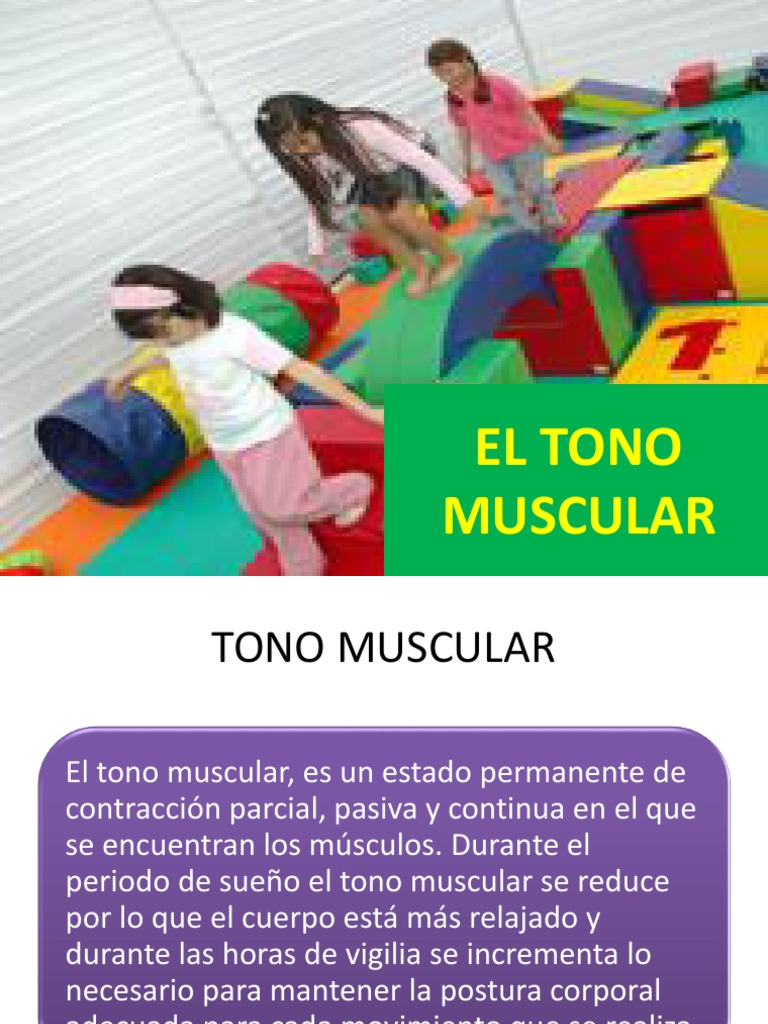 Tono Muscular: Función y Alteraciones | PDF | Músculo | Sistema nervioso