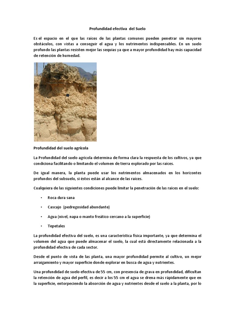 Profundidad Efectiva Del Suelo | Suelo | Raíz