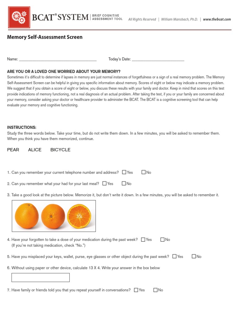 Bcat Memory Assessment | Recall (Memory) | Memory