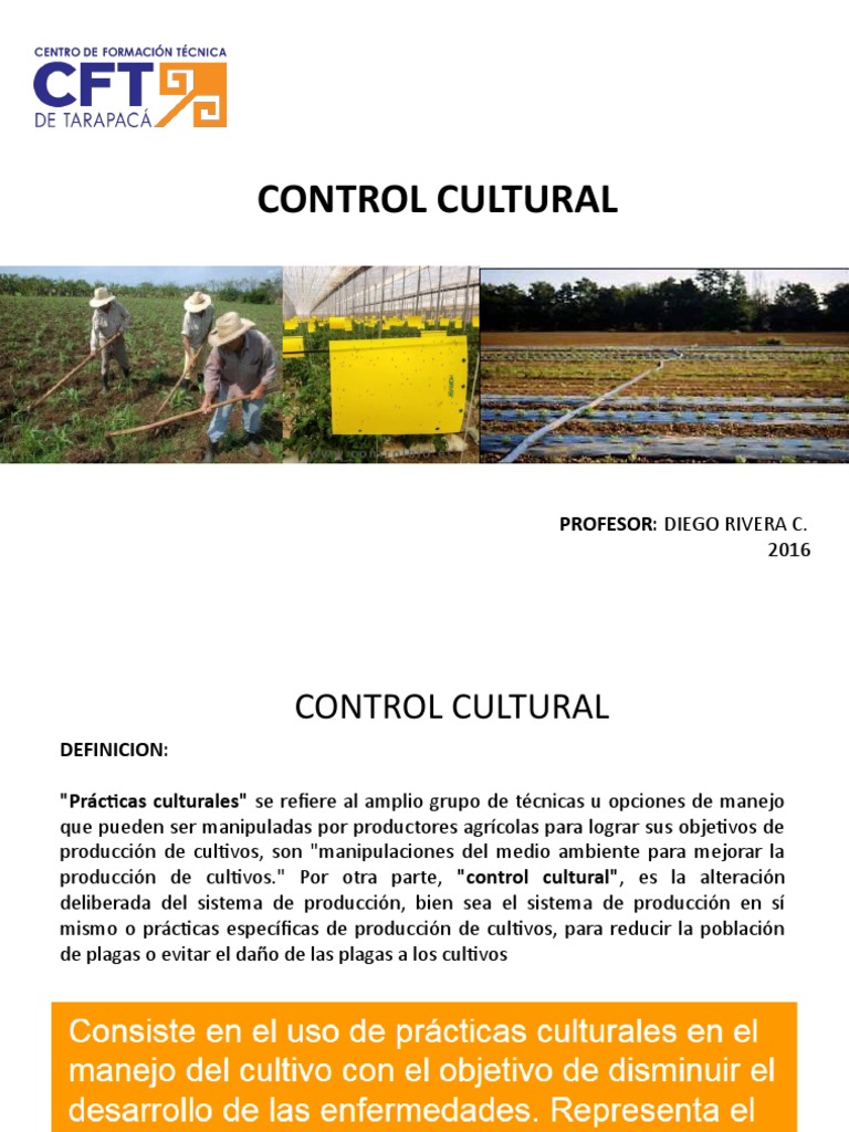 control cultural.pptx | Plaga (organismo) | Insectos