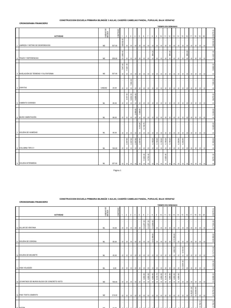 Programa Financiero | PDF