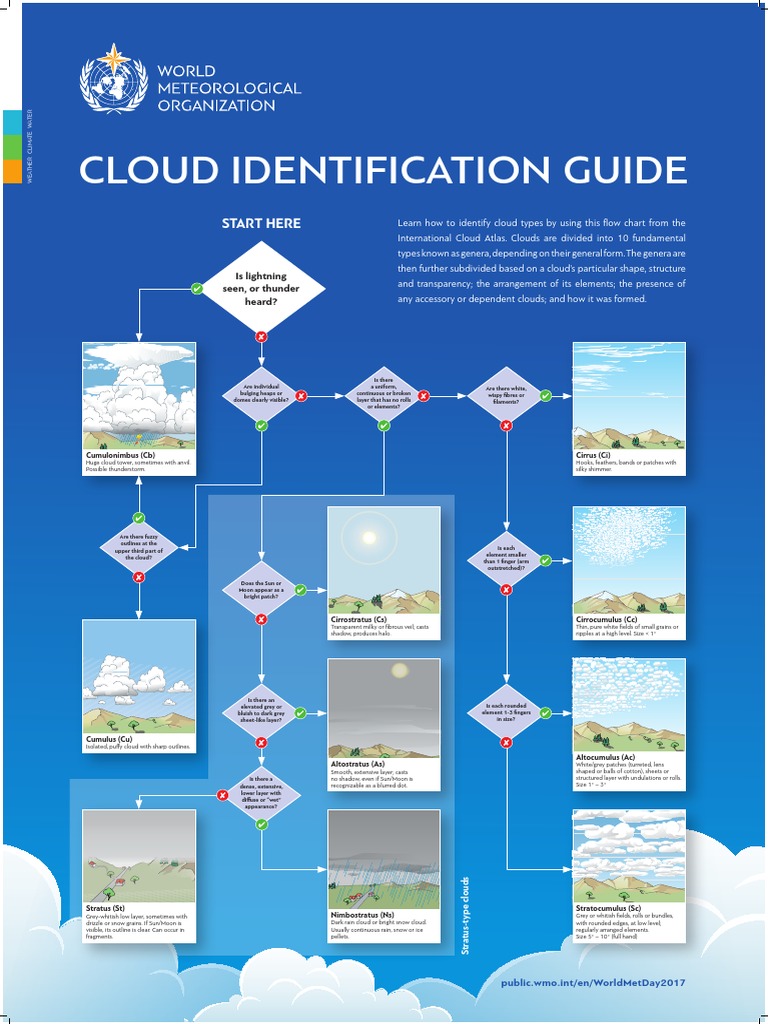 Cloud Identification Chart | Download Free PDF | Cloud | Clouds, Fog ...