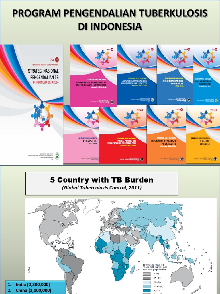 Indonesia's Program to Control Tuberculosis | PDF