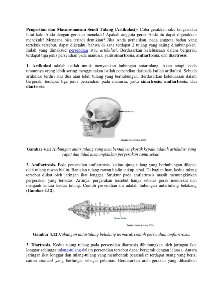 Pengertian Dan Macam Sendi | PDF