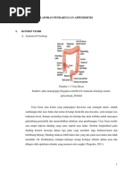 LP Appendicitis | PDF