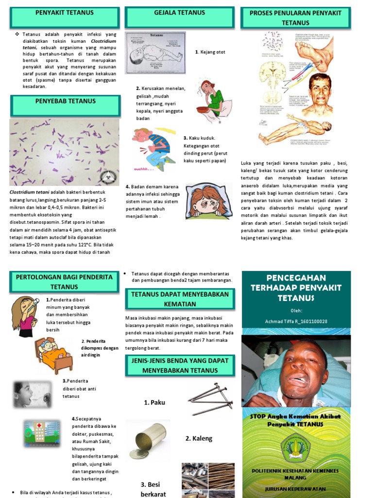 Leaflet Tetanus | PDF