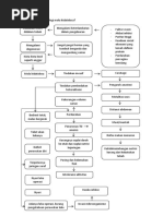 Pathway Tumor Colli | PDF