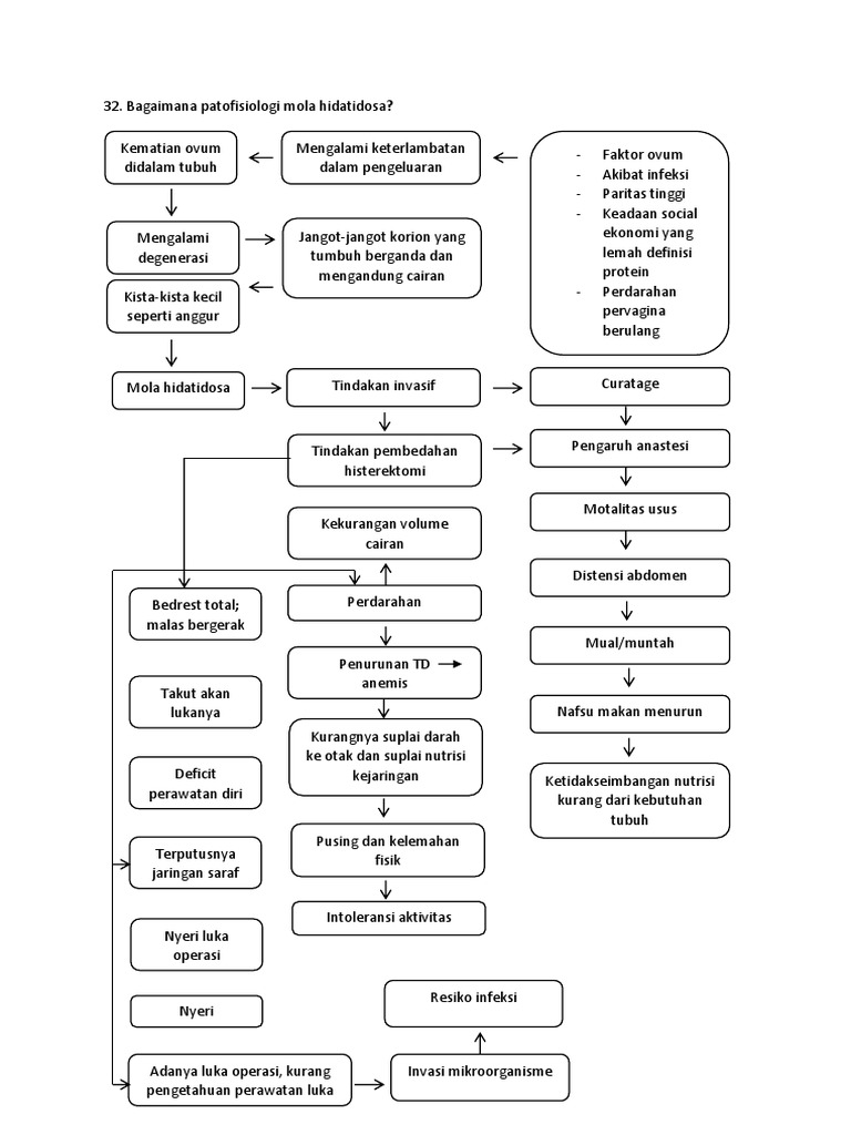 Patofisiologi Mola Hidatidosa | PDF