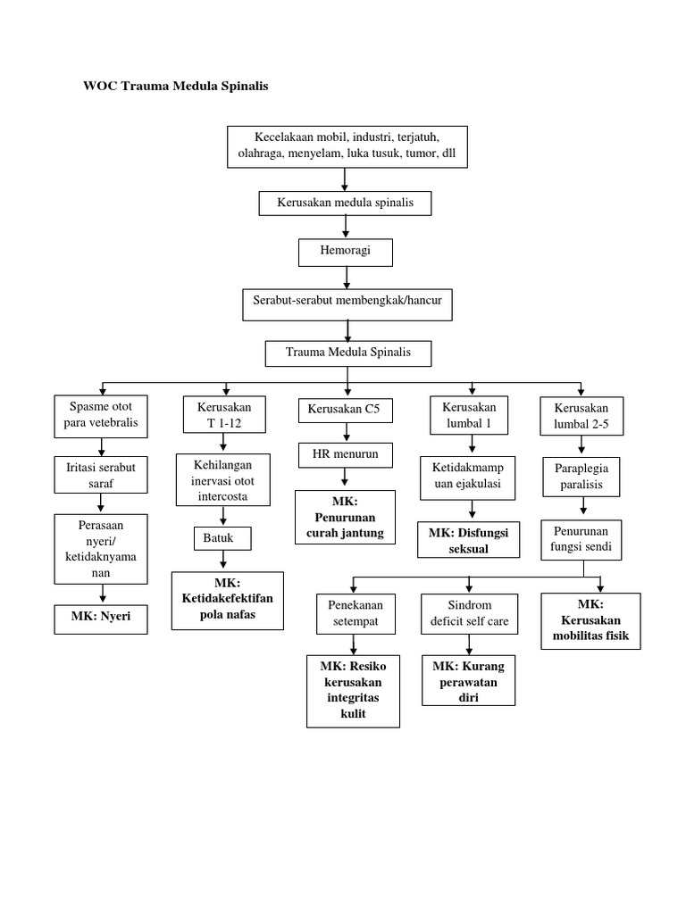 WOC Trauma Medula Spinalis Dan Spinal Syok | PDF