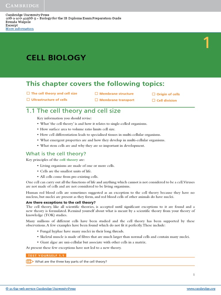 Test 2 | PDF | Cell Membrane | Cell (Biology)